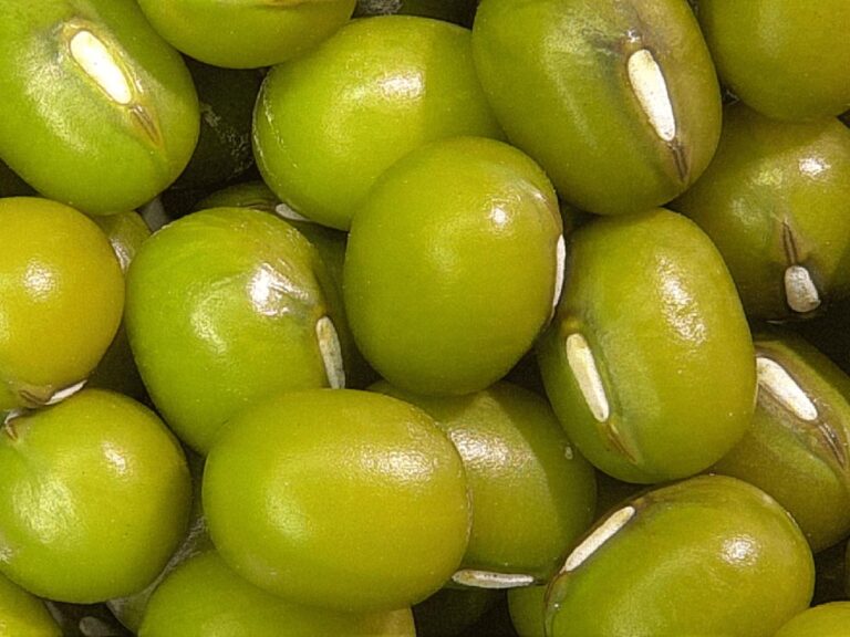 Australian Mungbean Association